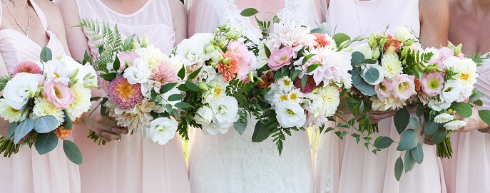 South County Flowers | Home